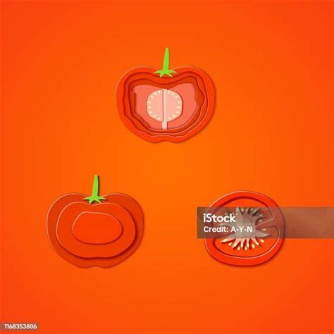 종이 컷 빨간 토마토의 집합입니다 벡터 종이 컷 디자인 식품 포장의 디자인에 대한 잘 익은 토마토 전체 및 슬라이스의 형태로