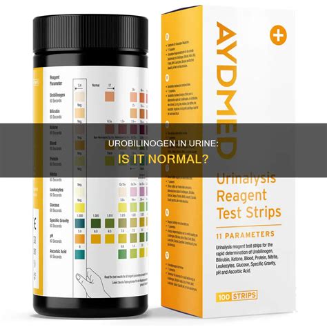 Urobilinogen In Urine Is It Normal Medshun