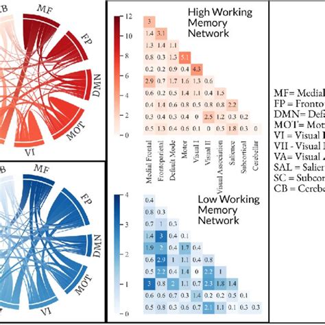 Presents The Intra Network And Inter Network Connections Of The Working Download Scientific