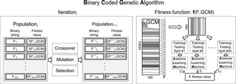 framework of the proposed binary coded genetic algorithm which is