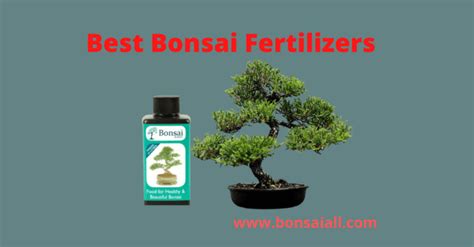 The Ultimate Guide To Best Bonsai Tree Fertilizers