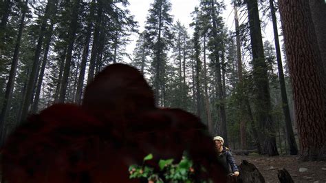 Yowie Spotting Interactive Map Reveals Every Sighting Of Infamous