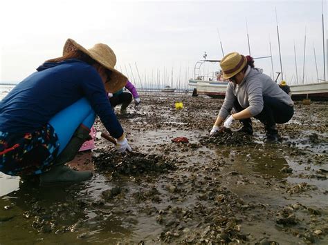 【千葉市】千葉ポートパークの潮干狩りまとめ：潮干狩りの時期や場所を解説 子育て情報を探すならトラベルブックファミリー