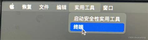 解决mac安装过程中出错问题，csrutil disable 关闭sip mac csrutil csdn博客