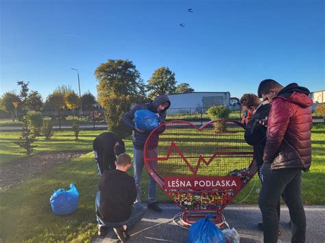 Działalność Szkolnego Koła Pck Zespół Szkół Centrum Kształcenia Rolniczego W Leśnej Podlaskiej