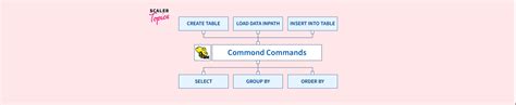 Common Commands Of Hive Scaler Topics