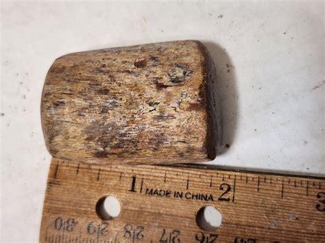 Beautiful Dinosaur Bone Specimen Vert