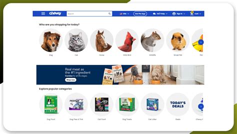 Scraping Chewy Product Data Get Insights With Web Scraping