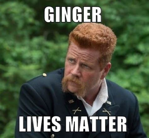 30 Ginger Memes That Are Way Too Witty