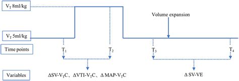 Study Protocol T1 With Tidal Volume Of 5 ML Kg Ideal Body Weight T2 Download Scientific