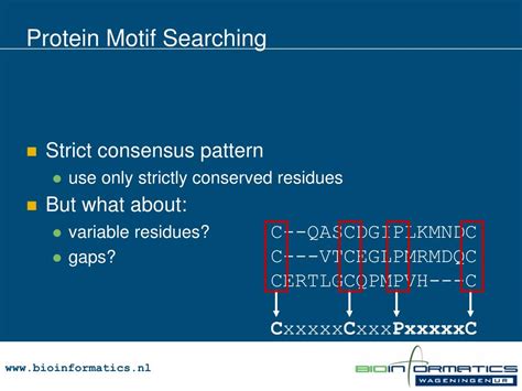 Ppt Protein Sequence Motifs Powerpoint Presentation Free Download