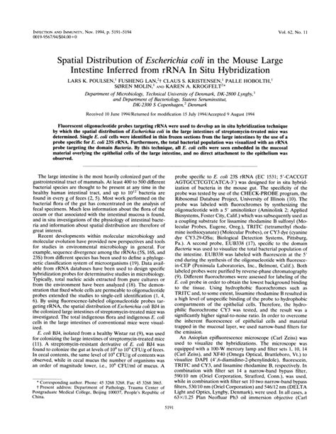 Pdf Spatial Distribution Of Escherichia Coli In The Mouse Large