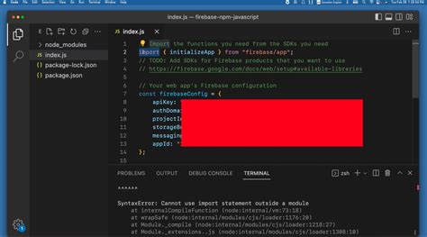 Add Firebase SDK Via NPM JavaScript