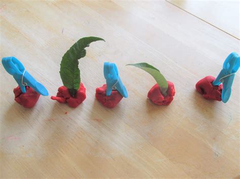 Patterns Activities Ideas For Ages Early Impact Learning