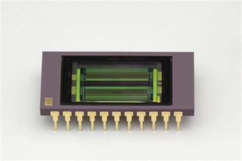 Back Illuminated InGaAs Linear Image Sensors For Food Inspection