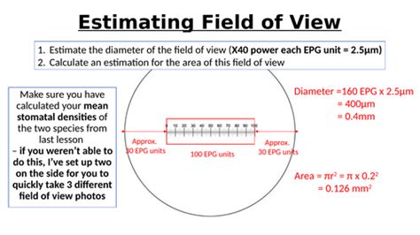 A Level Aqa Biology Stomatal Density Teaching Resources
