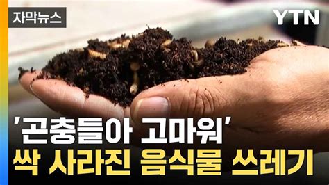 [자막뉴스] 10일이면 싹 친환경 음식물 쓰레기 처리법 Ytn Youtube