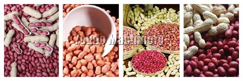 1000kgh Electric Commercial Peanut Shell Peeler Separator Peanut
