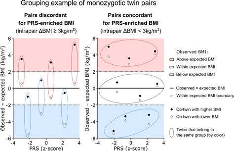 Example Of The Development Of Twin Pair Groups Discordant And Download Scientific Diagram