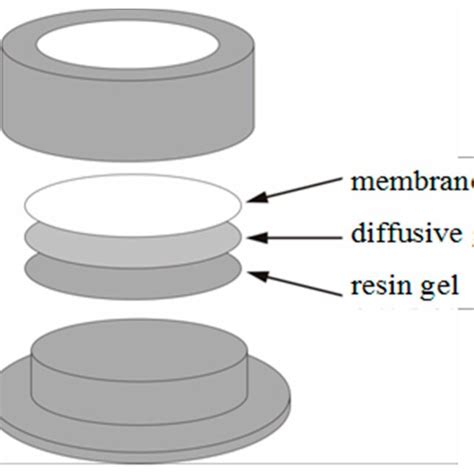 schematic view of a diffusive gradients in thin film dgt device