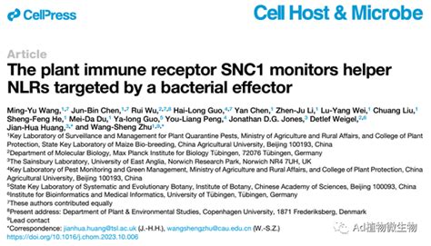 Cell Host And Microbe 中国农业大学朱旺升团队在植物免疫抵御病原菌攻击方面取得重要进展 知乎