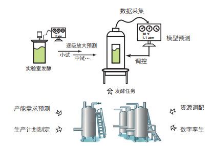 细胞工厂设计数字化赋能绿色生物制造