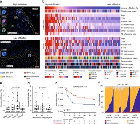 Spatial Proteomics Analysis Of Tumor Immune Contexture A Multiplex Download Scientific Diagram