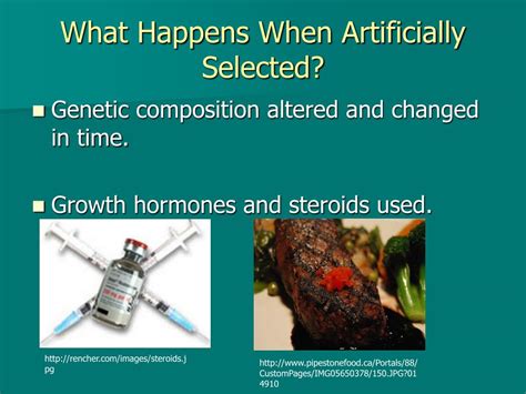 Ppt Artificial Selection Powerpoint Presentation Free Download Id Ppt Artificial Selection Powerpoint Presentation Free Download Id