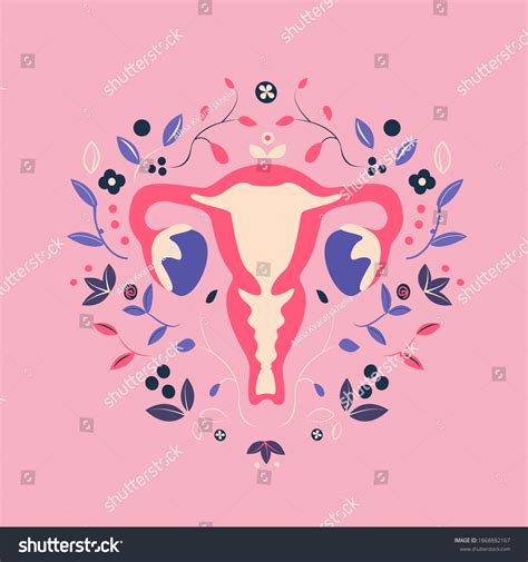 Hand Drawn Vagina Photos And Images Shutterstock