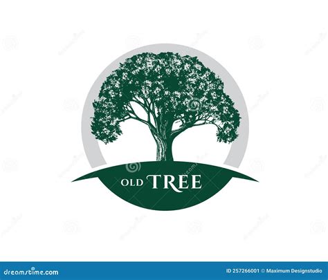 Vintage Old Oak Maple Tree Logo Design Stock Vector Illustration Of Elegant Pension 257266001