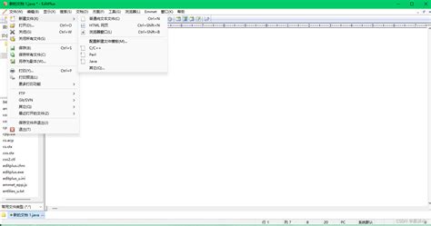 Editplus软件的安装与配置editplus安装教程 Csdn博客