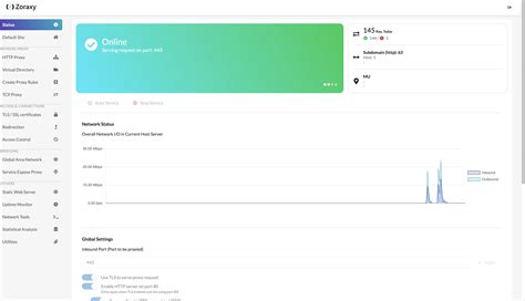 顾佳凯的网络日志 自建nginx proxy manger的替代品—zoraxy