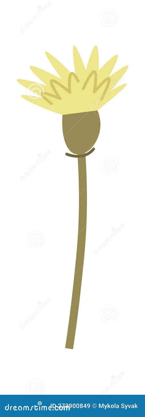 Wildflowers On Stem Stock Vector Illustration Of Flat 273900849