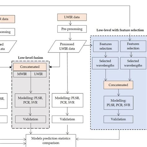 Workflow Diagram Depicting The Steps Of The Low Level Fusion 1