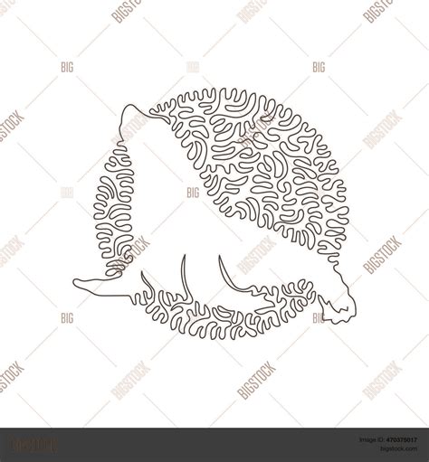 Single Curly One Line Vector And Photo Free Trial Bigstock