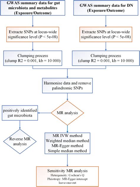 Elucidating The Causal Relationship Between Gut Microbiota Metabolites And Diabetic