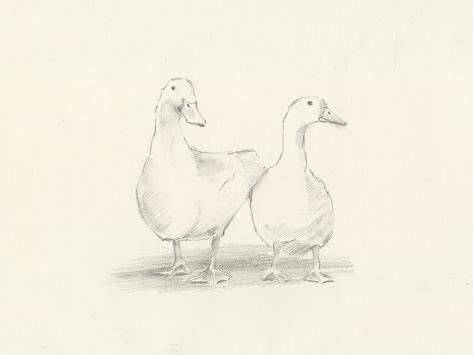 Quack Quack II Art Print Ethan Harper Art Com In 2024 Art Prints Art Drawings