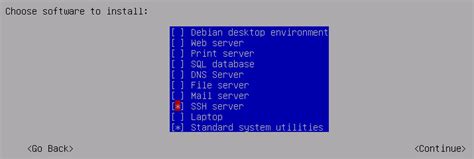 openvpn and squid proxy software installation