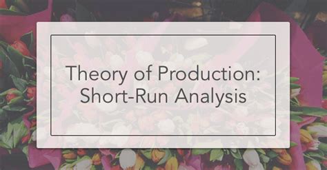 Theory Of Production Short Run Intelligent Economist