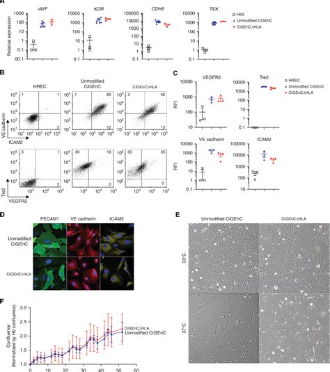 Figure 3 From Crisprcas9 Engineered Hla Deleted Glomerular Endothelial