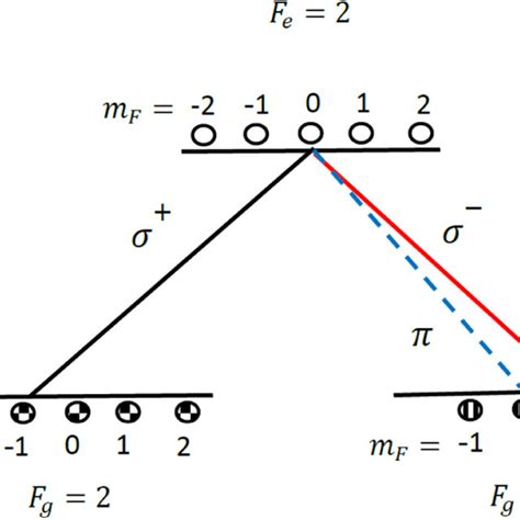 A Schematic Diagram Of The Double Evanescent Wave Induced Transitions