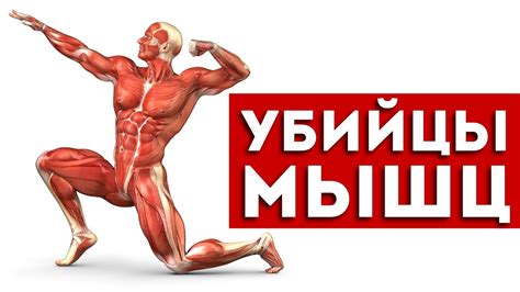 Мы Сами Гробим Наши Мышцы 5 Привычек о Которых Нужно Забыть Youtube