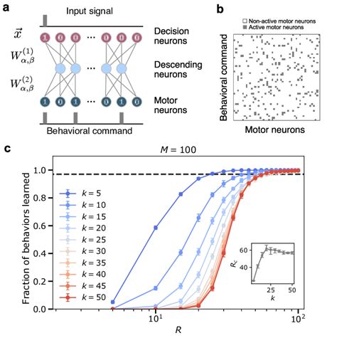 Model Construction And Parameters A The Structure Of The Ventral