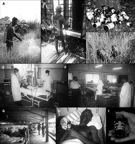 Pesticide Poisoning In The Developing World—a Minimum Pesticides List