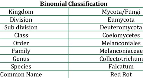 Binomial Classification Of Red Rot Of Sugarcane Download Scientific Diagram