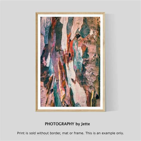 Tree Bark Photography Eucalypt Gum Abstract Print Nature Wall Art