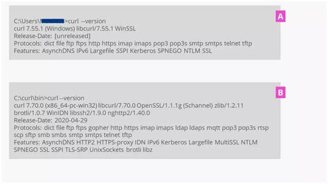 CURL For Windows As A Universal Tool For Web Development IONOS