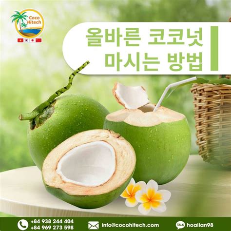 올바른 코코넛 마시는 방법 코코하이텍 Cocohitech Vietnam