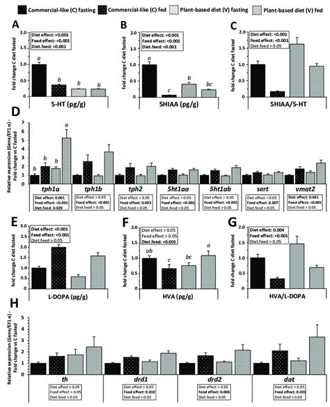 Brain Concentrations Of Indolamines Catecholamines And Corresponding