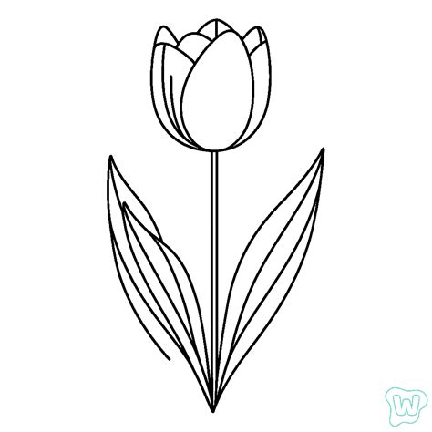 56 Tulipanes Para Colorear Descargar E Imprimir Pdf